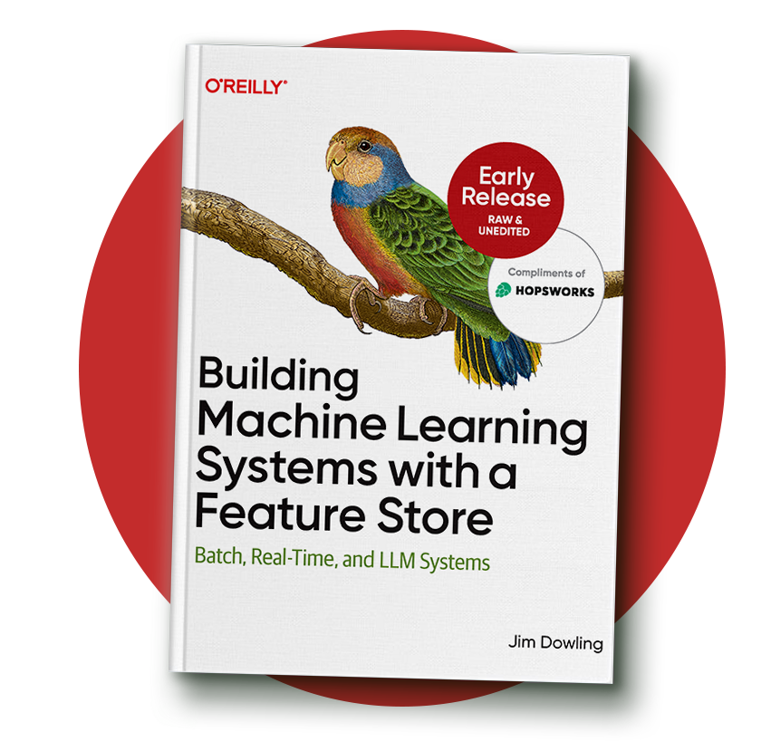 O'Reilly Book - Building Machine Learning Systems with a Feature Store